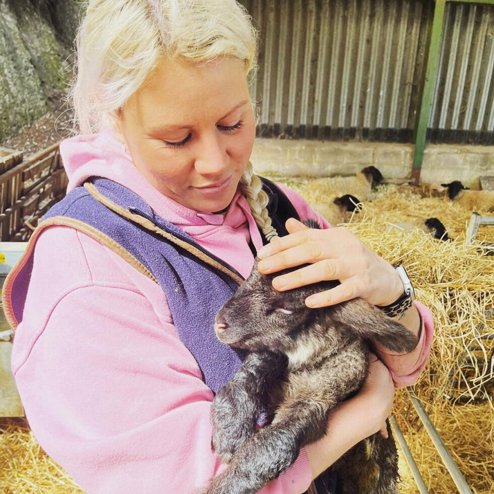 Lambing Open Days at Broadlees Farm