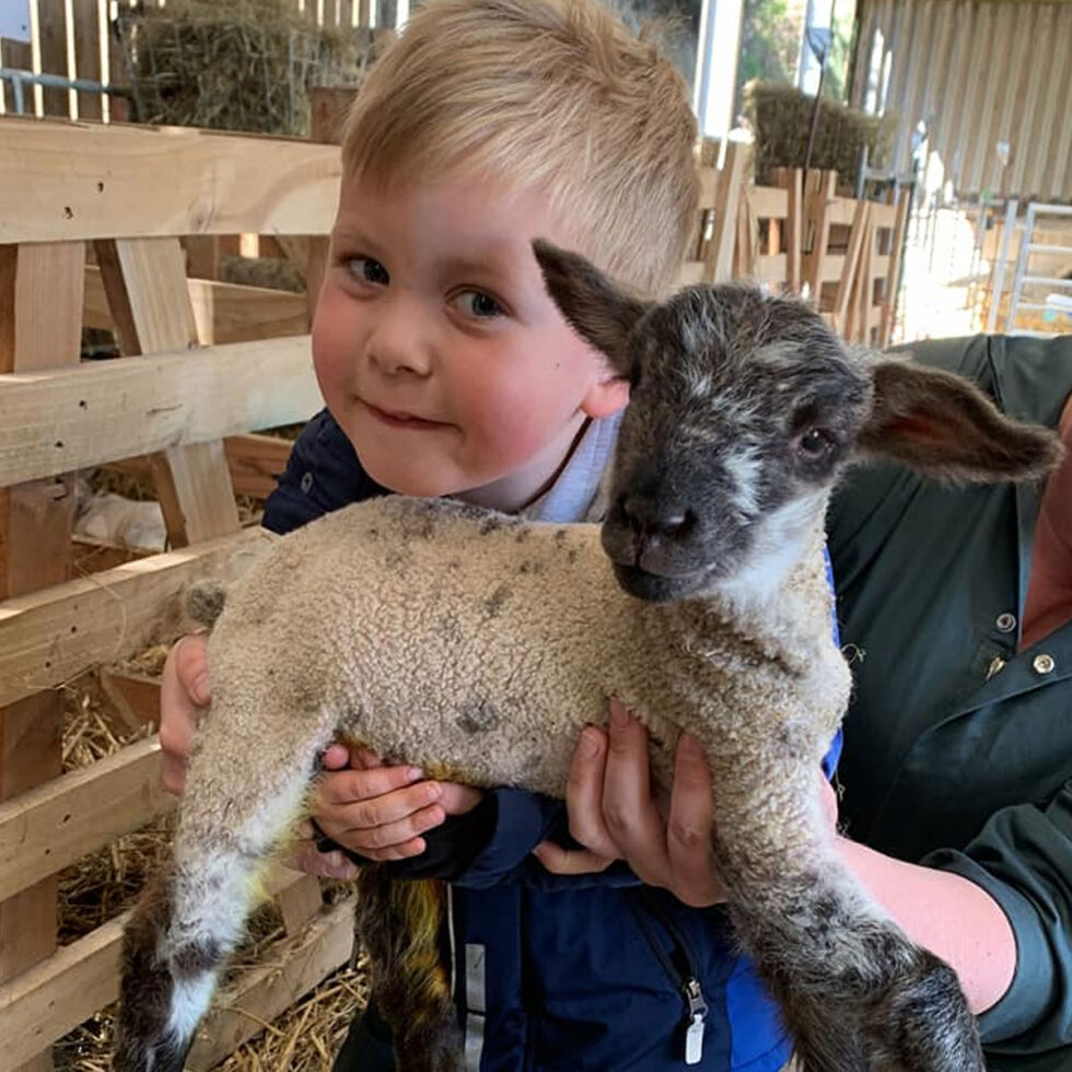 Lambing Open Days at Broadlees Farm